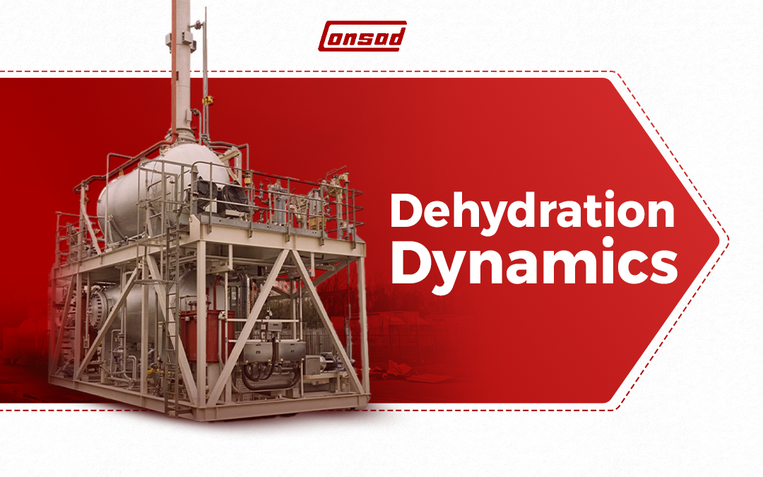 Dehydration Dynamics - Consad